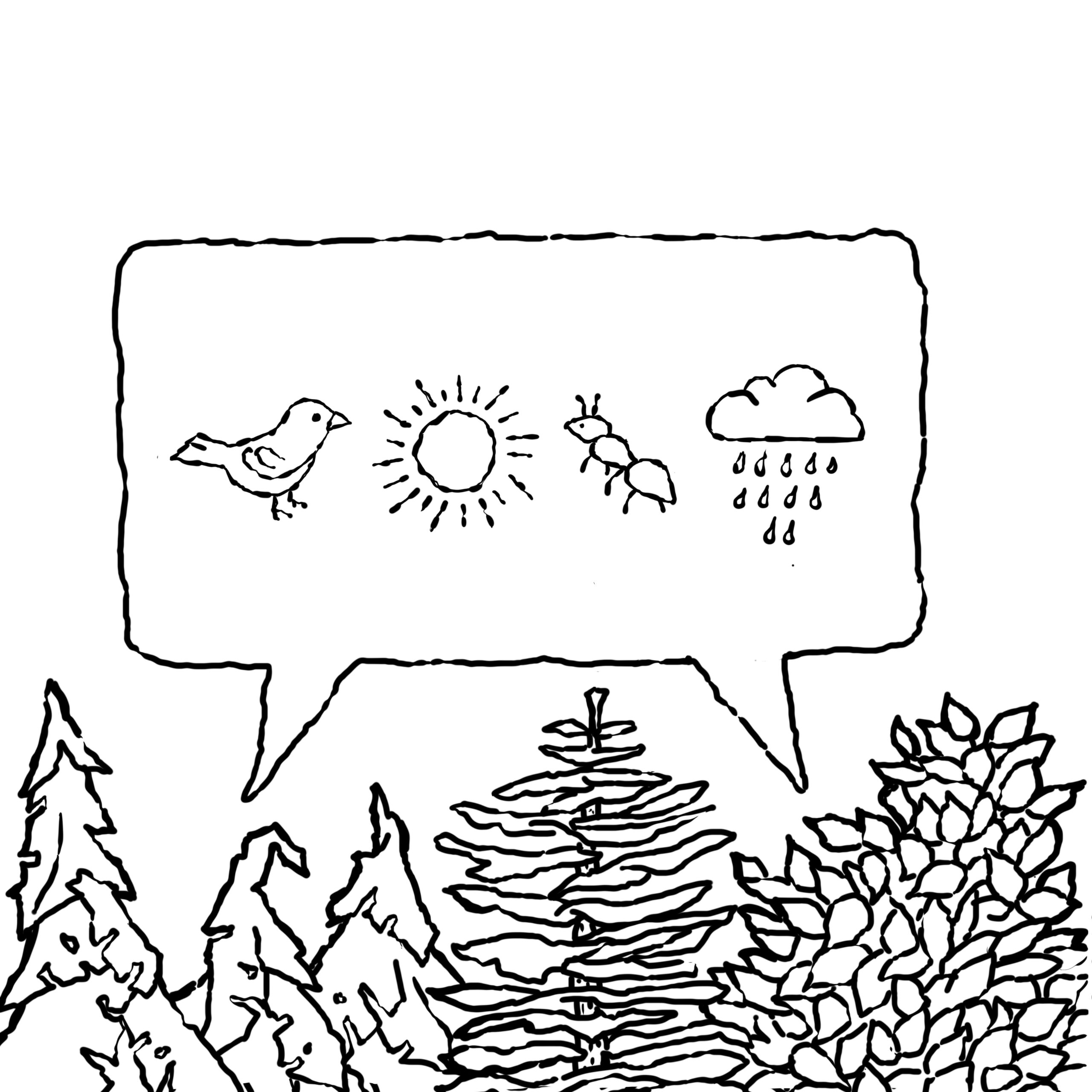 Episode #12 – Talking Trees – Headwaters