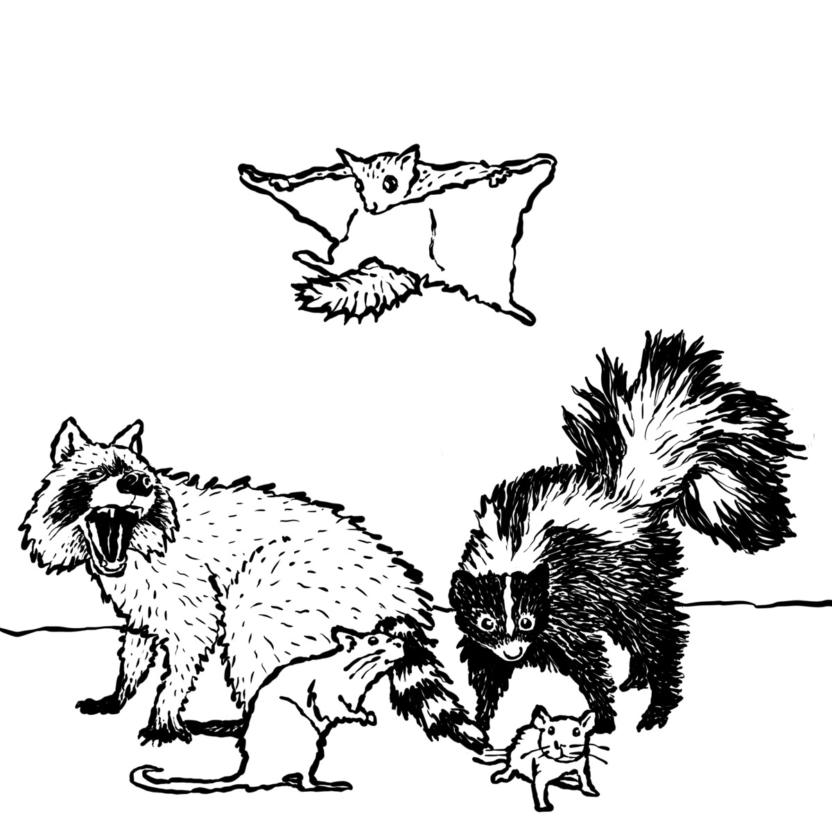Episode #40 - Rascally Rodents - Headwaters